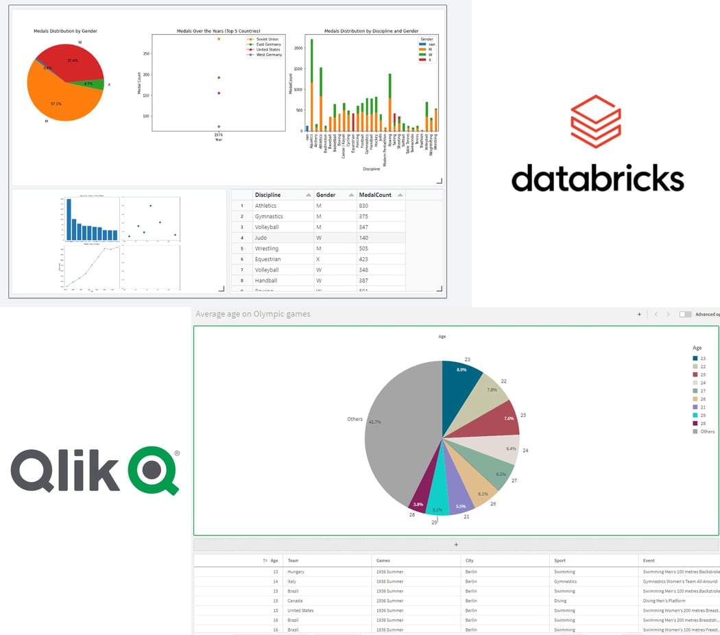 Databricks SQL and Qlik - Comparing Data Visualization Tools