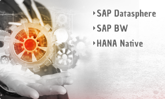 A comparison between SAP BW / HANA Native / DW Cloud